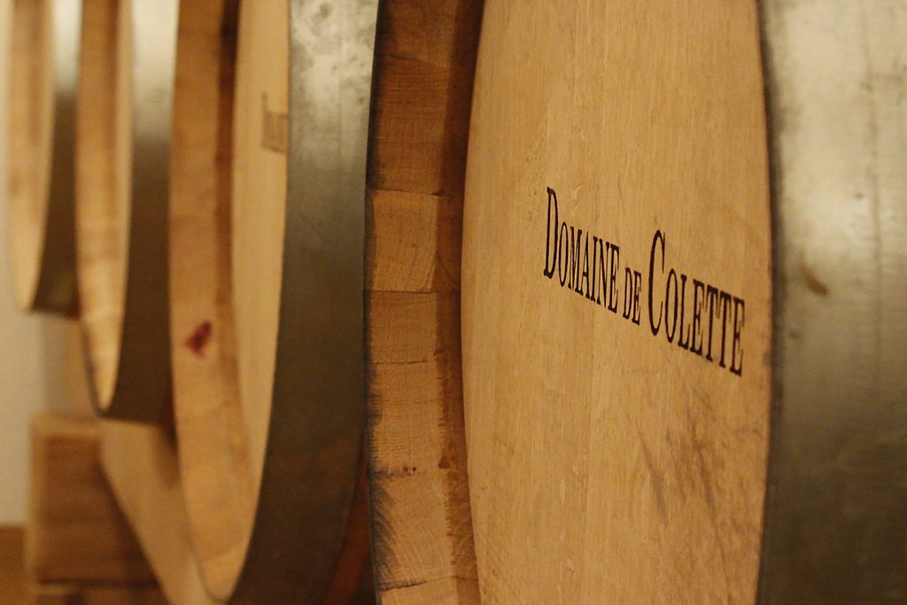 Domaine de Colette - Domaine viticole à Lantignié